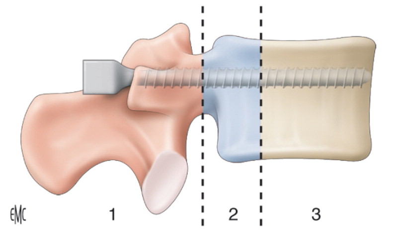 Especialista en Columna - Dr. Gerardo Barajas